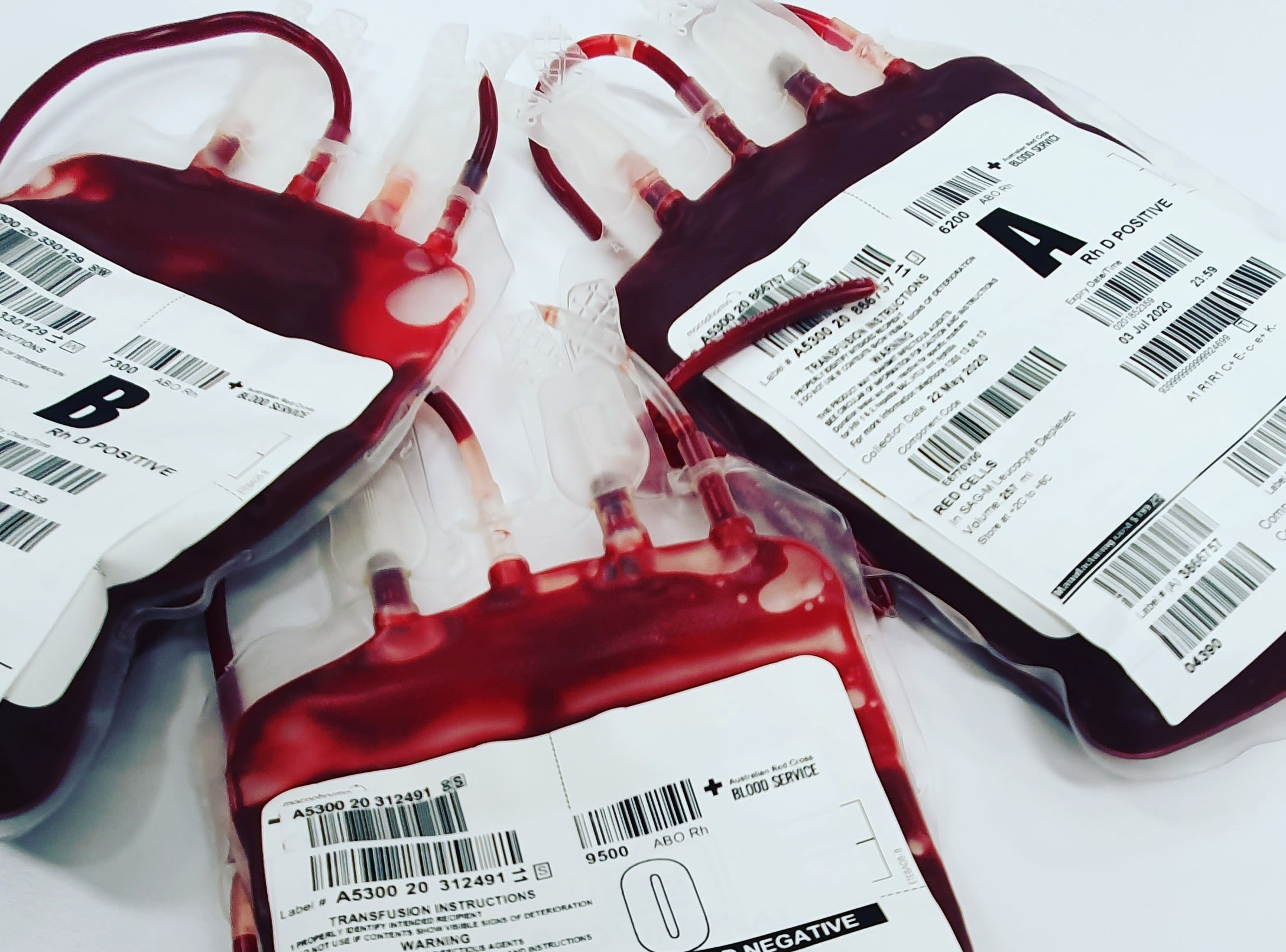 Rdau Pokhara Blood App